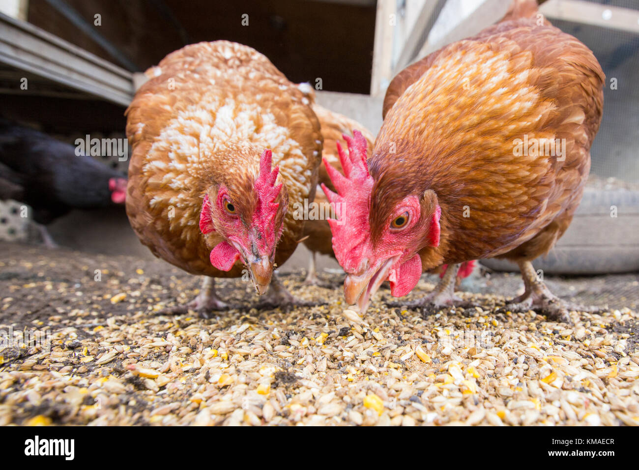 Whide View High Resolution Stock Photography and Images - Alamy