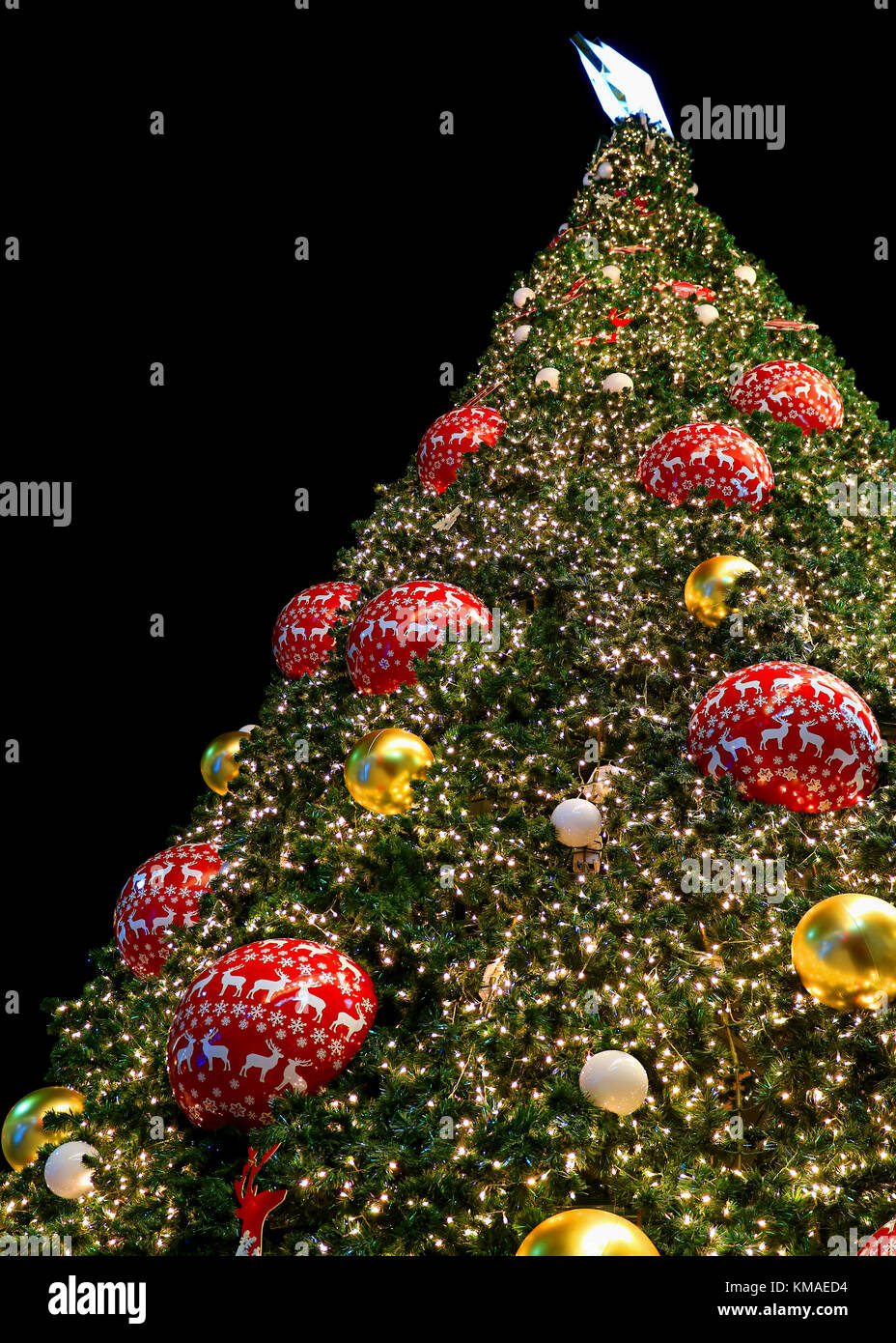 Low Angle View of a Giant Sparkling Christmas Tree Decorated with many ...