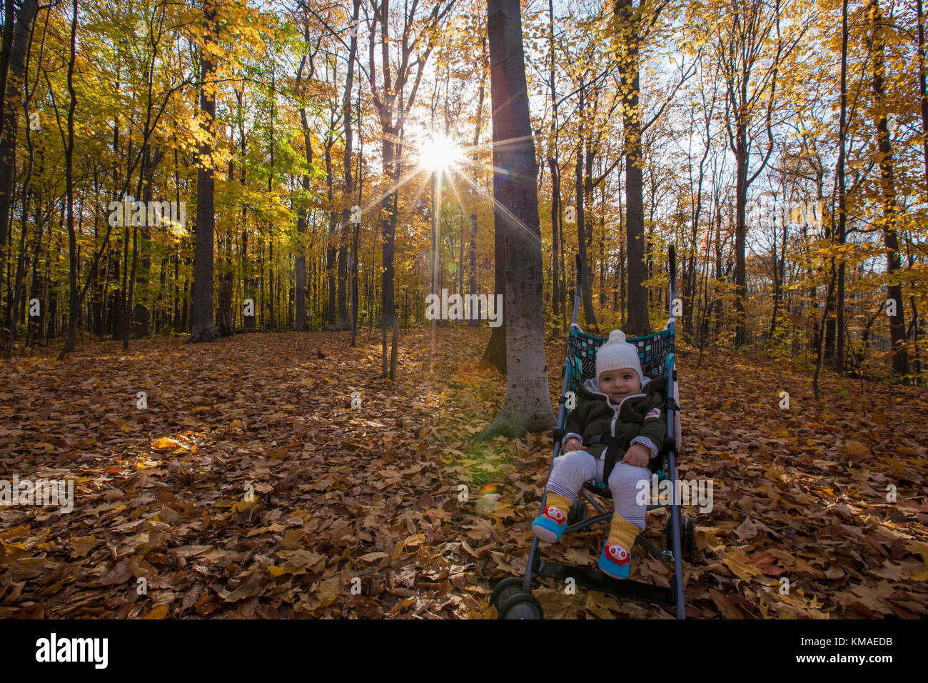 Baby boy in fall forest Stock Photo - Alamy