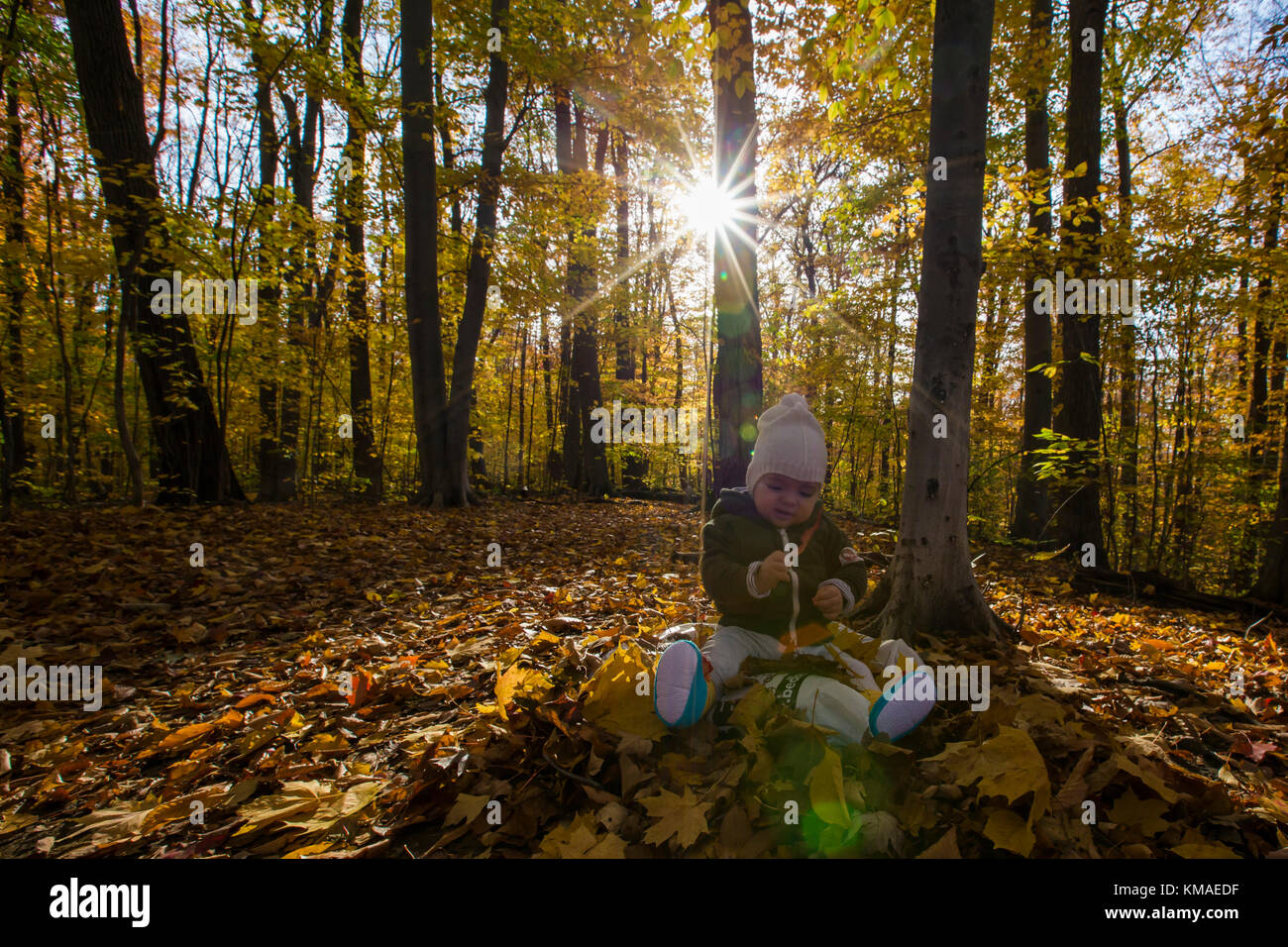 Baby boy in fall forest Stock Photo - Alamy