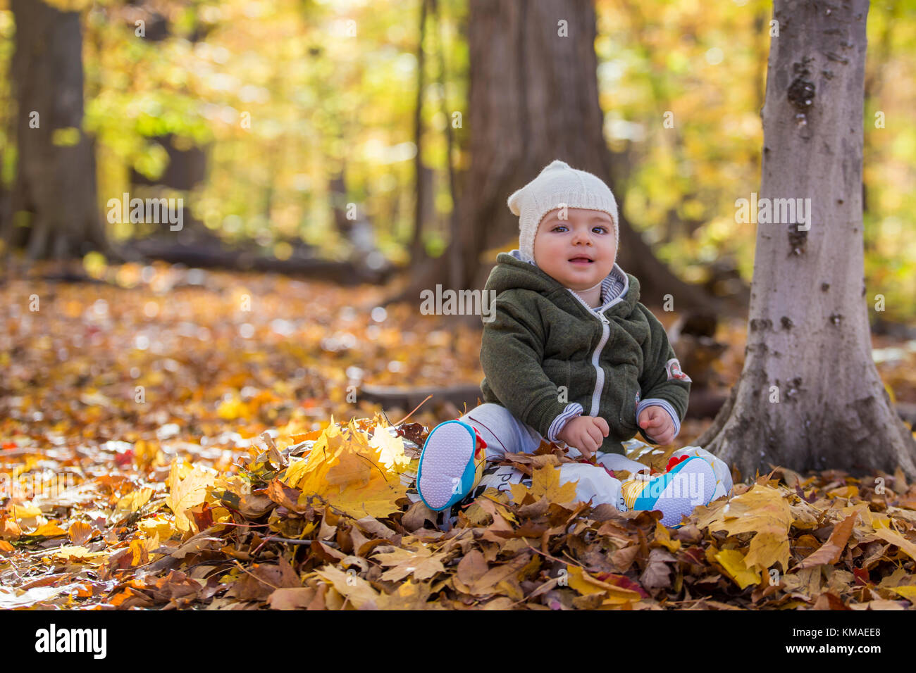 Baby boy in fall forest Stock Photo - Alamy