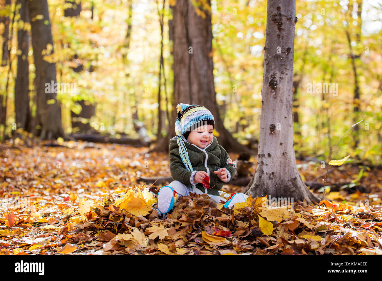 Baby boy in fall forest Stock Photo - Alamy