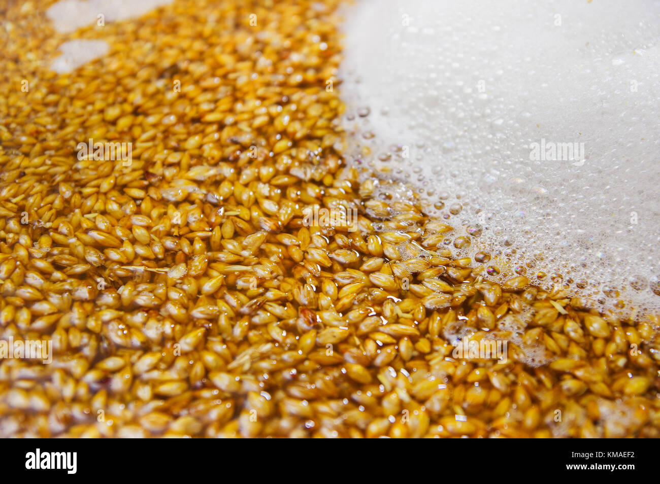 Brew kettles hi-res stock photography and images - Alamy