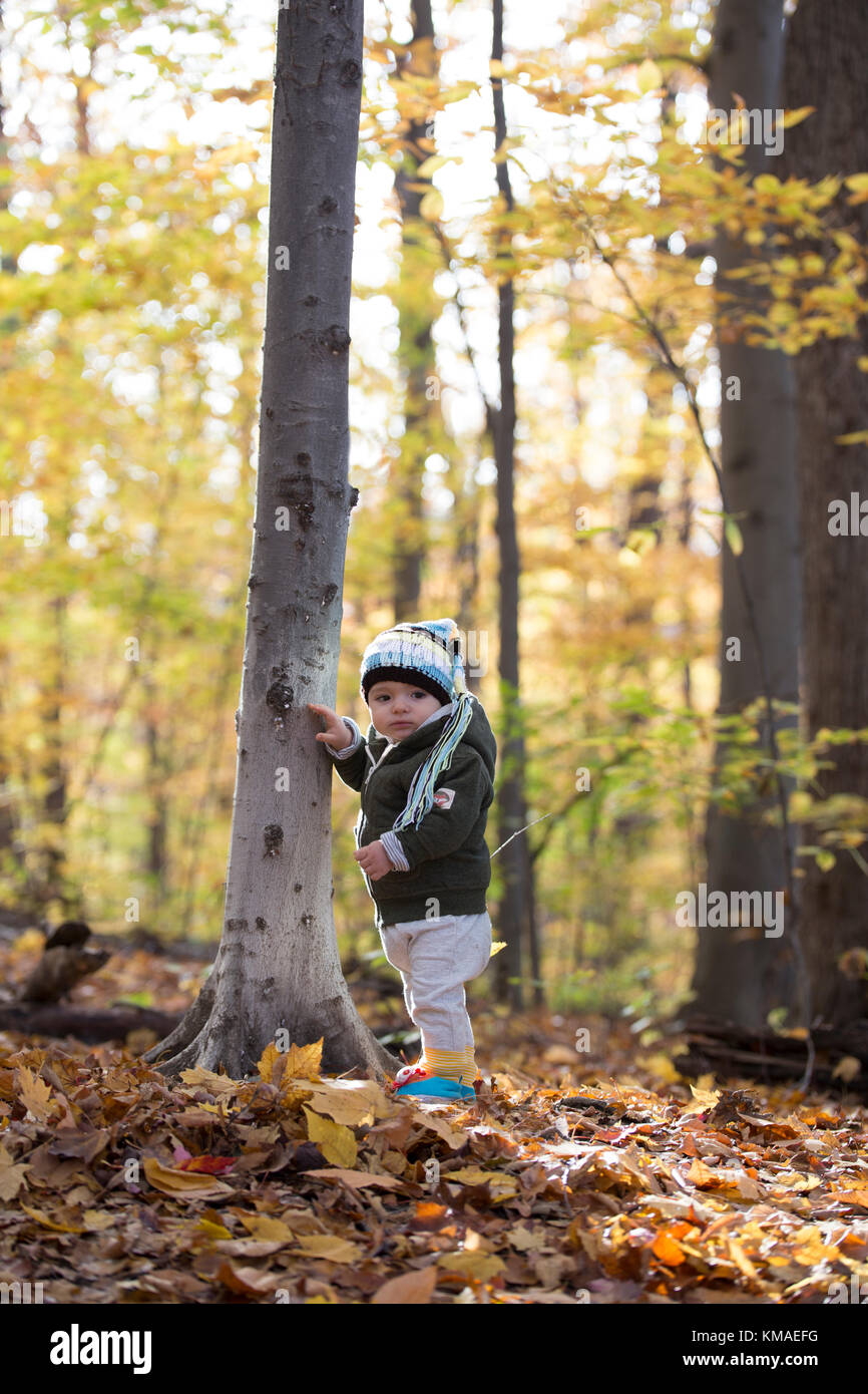 Baby boy in fall forest first stand up Stock Photo - Alamy