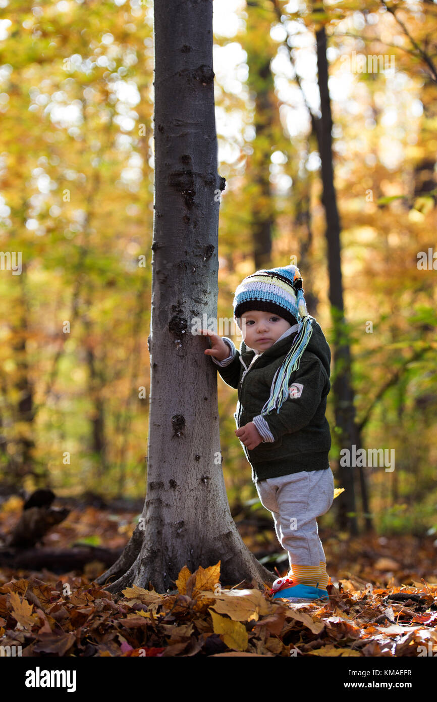 Baby boy in fall forest first stand up Stock Photo - Alamy