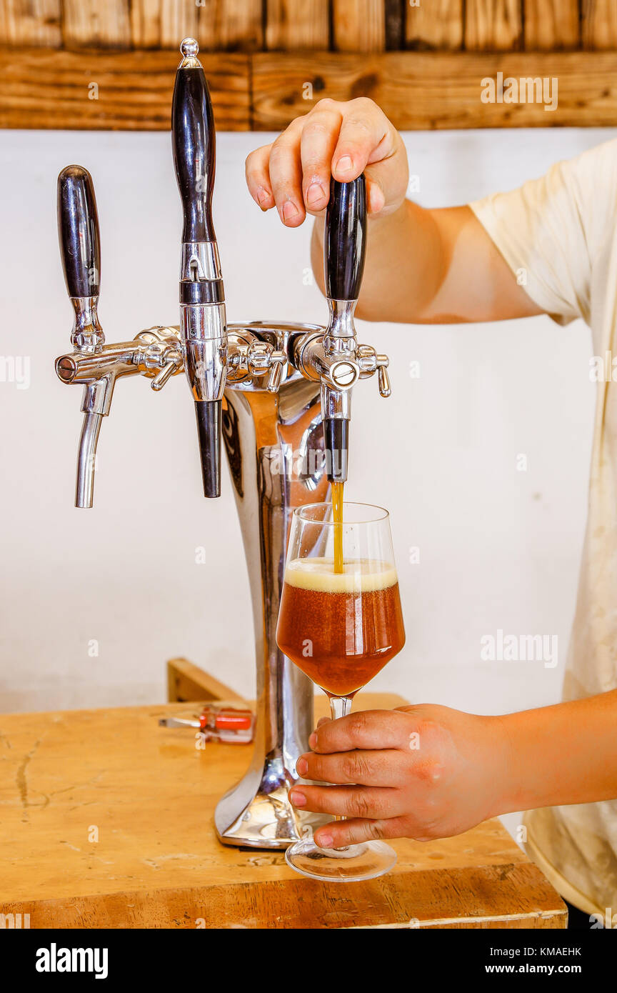 Barman hand at beer tap pouring a draught lager beer serving in a ...