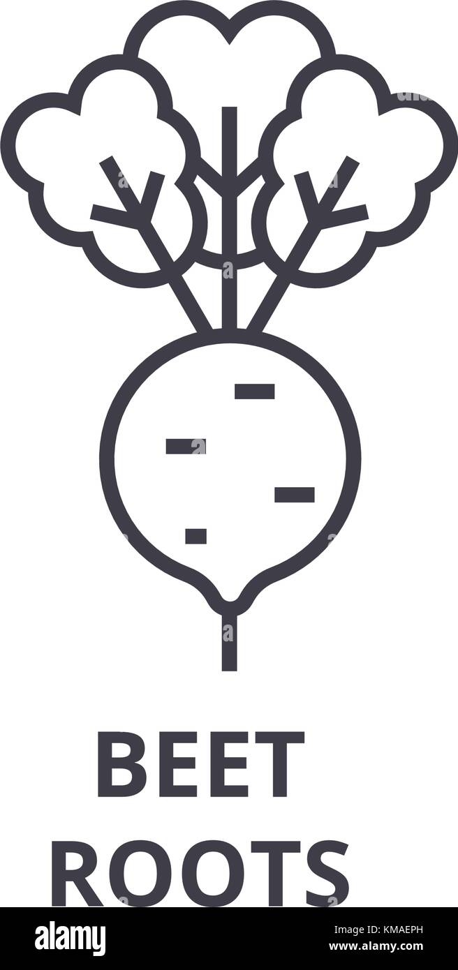 beet, roots line icon, outline sign, linear symbol, flat vector ...