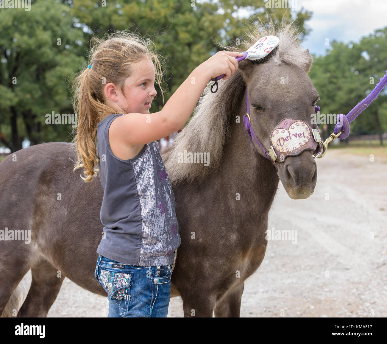 Four year old girl grooming pony Stock Photo - Alamy