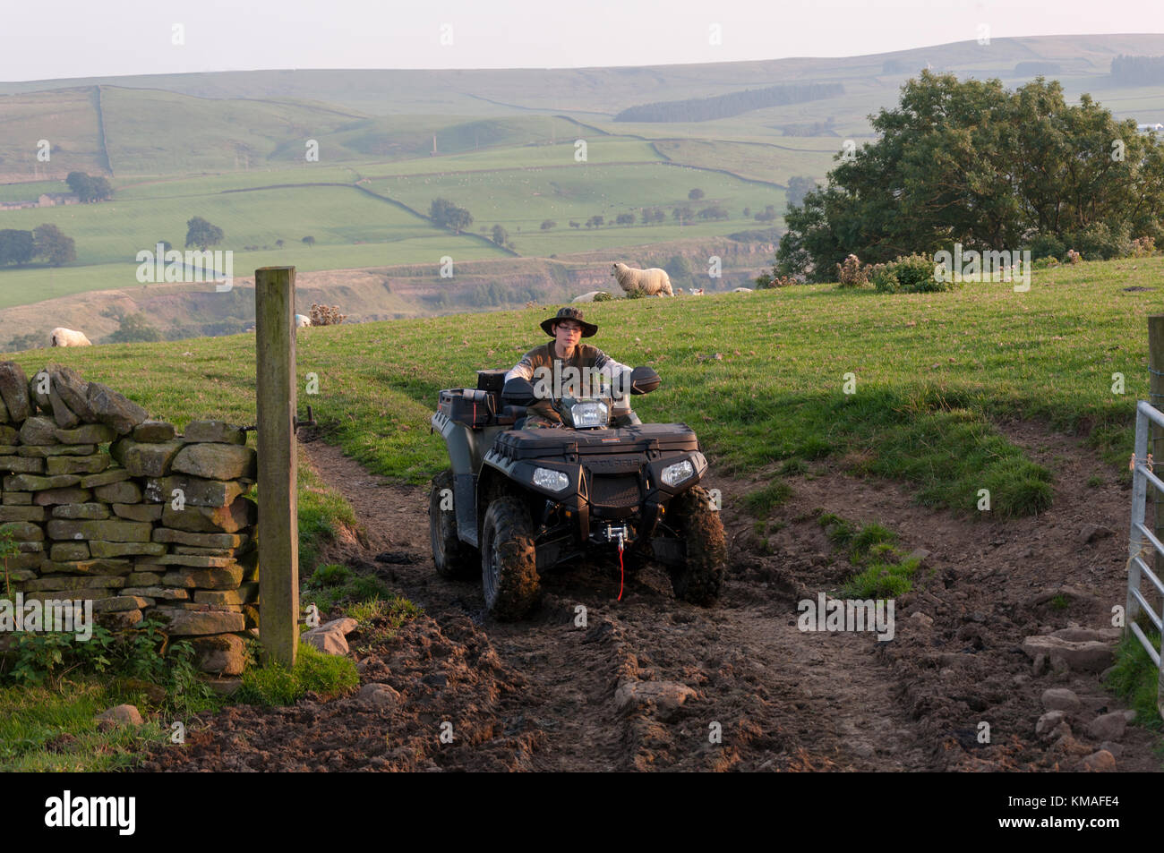 Land riding grass hi-res stock photography and images - Alamy