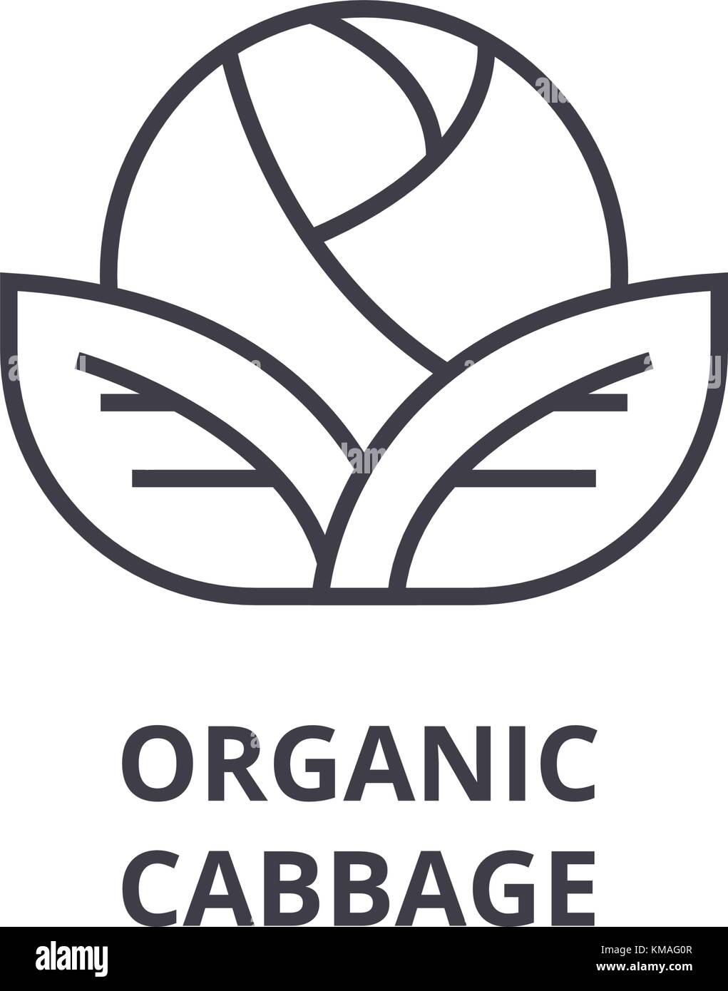 organic cabbage line icon, outline sign, linear symbol, vector, flat ...