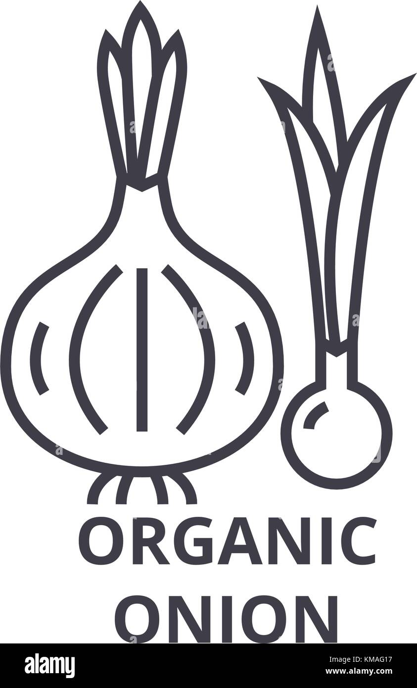 organic onion line icon, outline sign, linear symbol, vector, flat ...