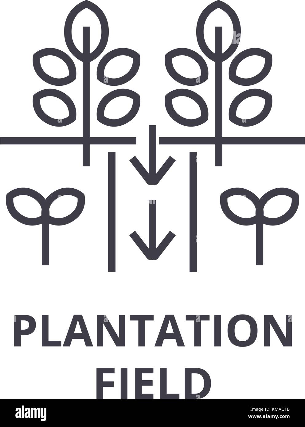Plantation Stock Vector Images - Alamy