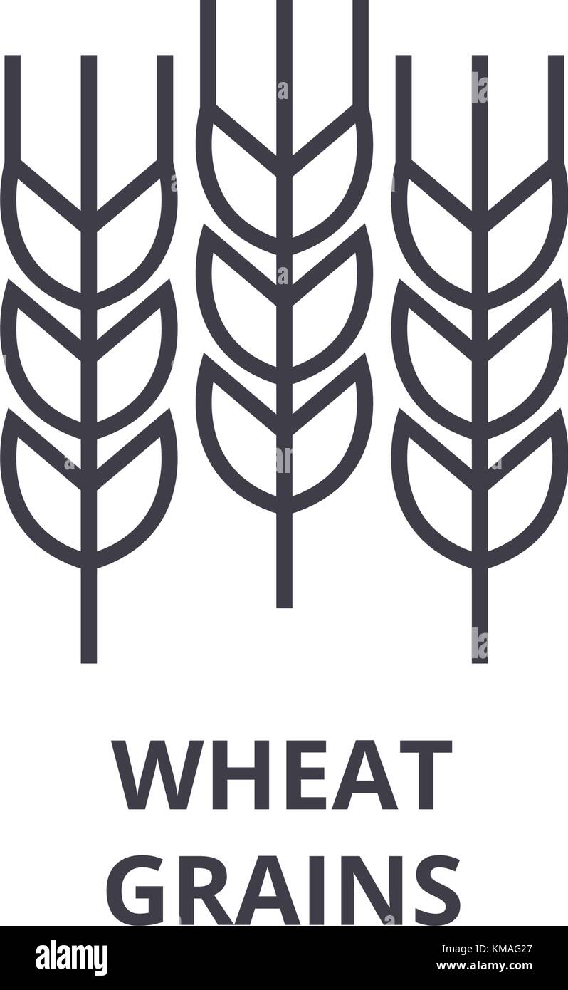 wheat grains line icon, outline sign, linear symbol, vector, flat ...