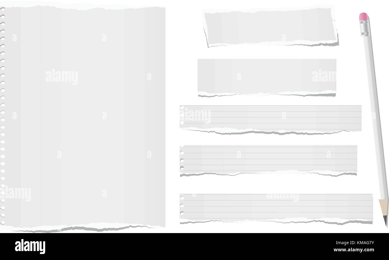 Ripped, note, notebook paper sheets for text or message stuck on white ...