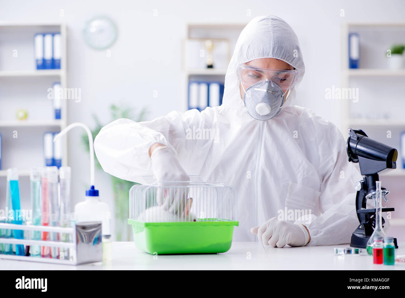 Scientist doing animal experiment in lab with rabbit Stock Photo - Alamy