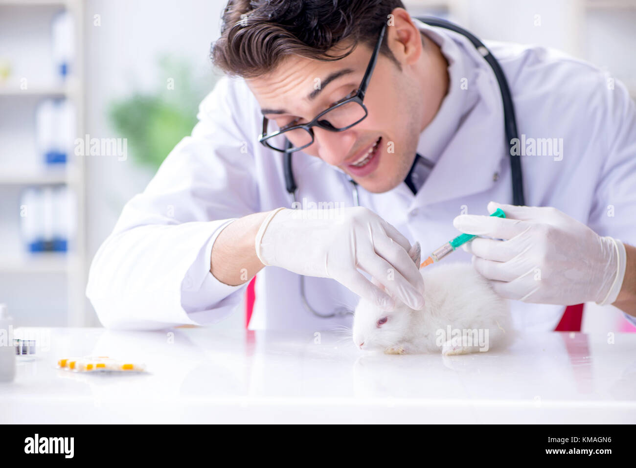 Vet doctor examining rabbit in pet hospital Stock Photo - Alamy