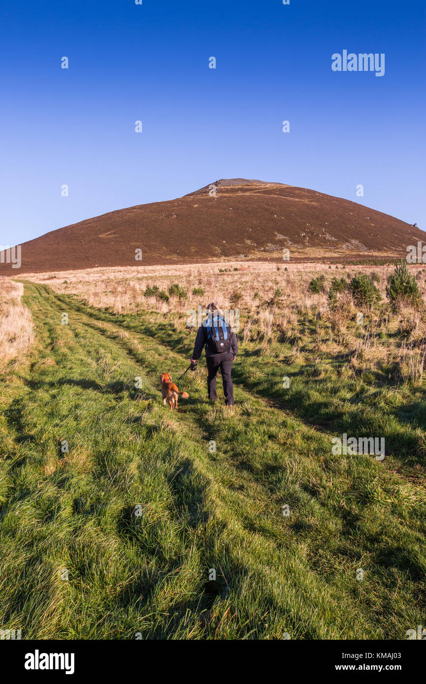 A walker approaches Hill O Noth near Rhynie, Aberdeenshire, Scotland ...