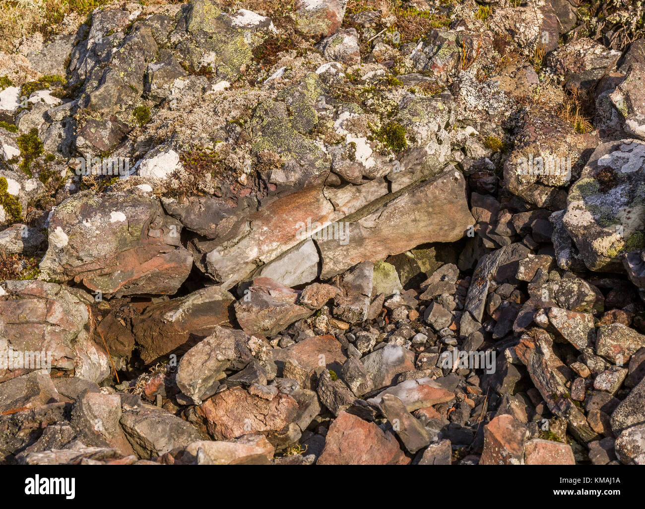 A close up of vitrified stone at the ruins of Iron Age Tap O Noth hill ...