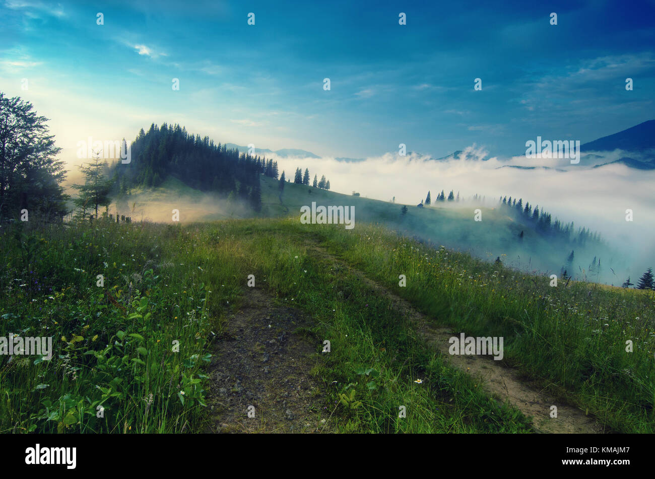 Foggy morning landscape Stock Photo - Alamy