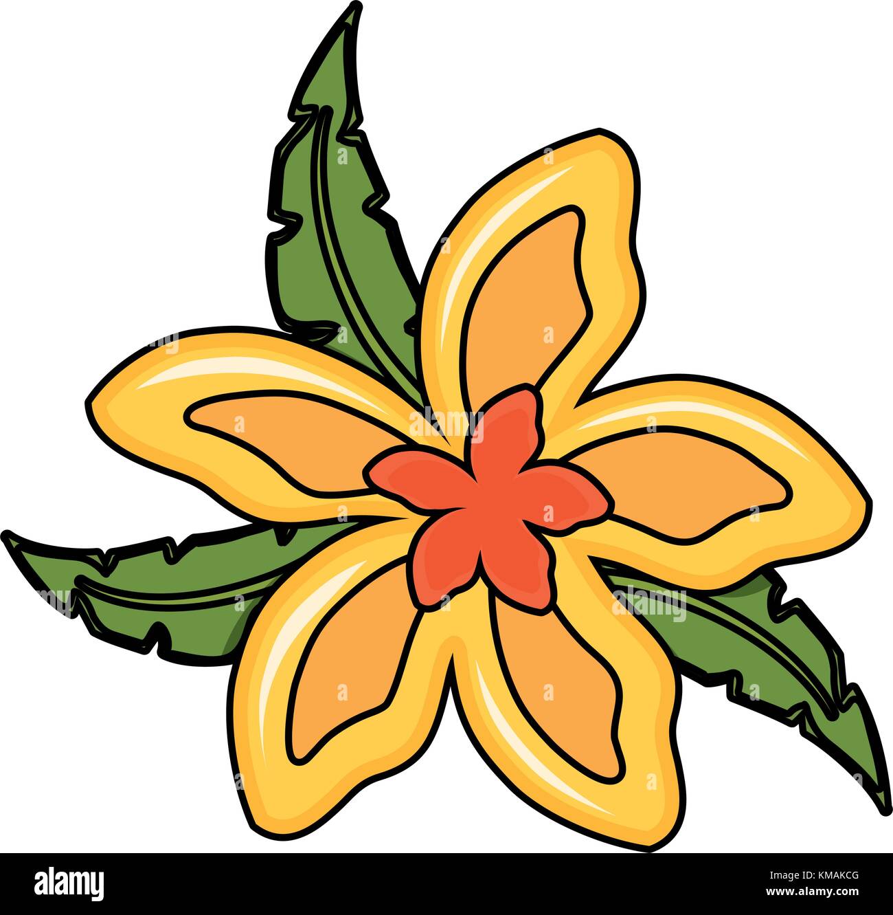 beautiful tropical flowers design Stock Vector Image & Art - Alamy