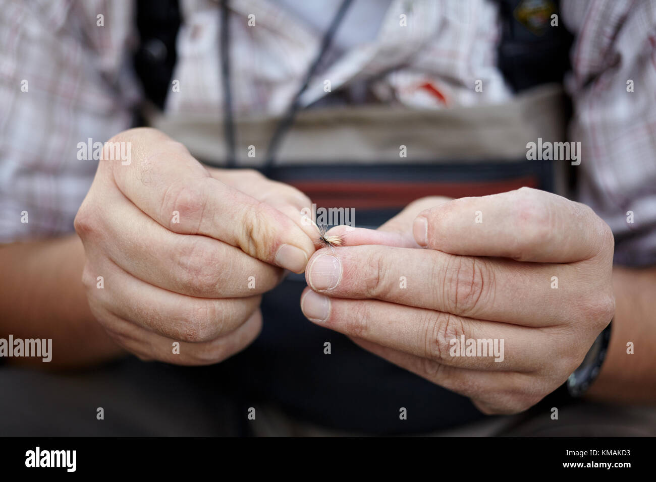 Close-up of the hands of a skilled fisherman preparing utensils for ...