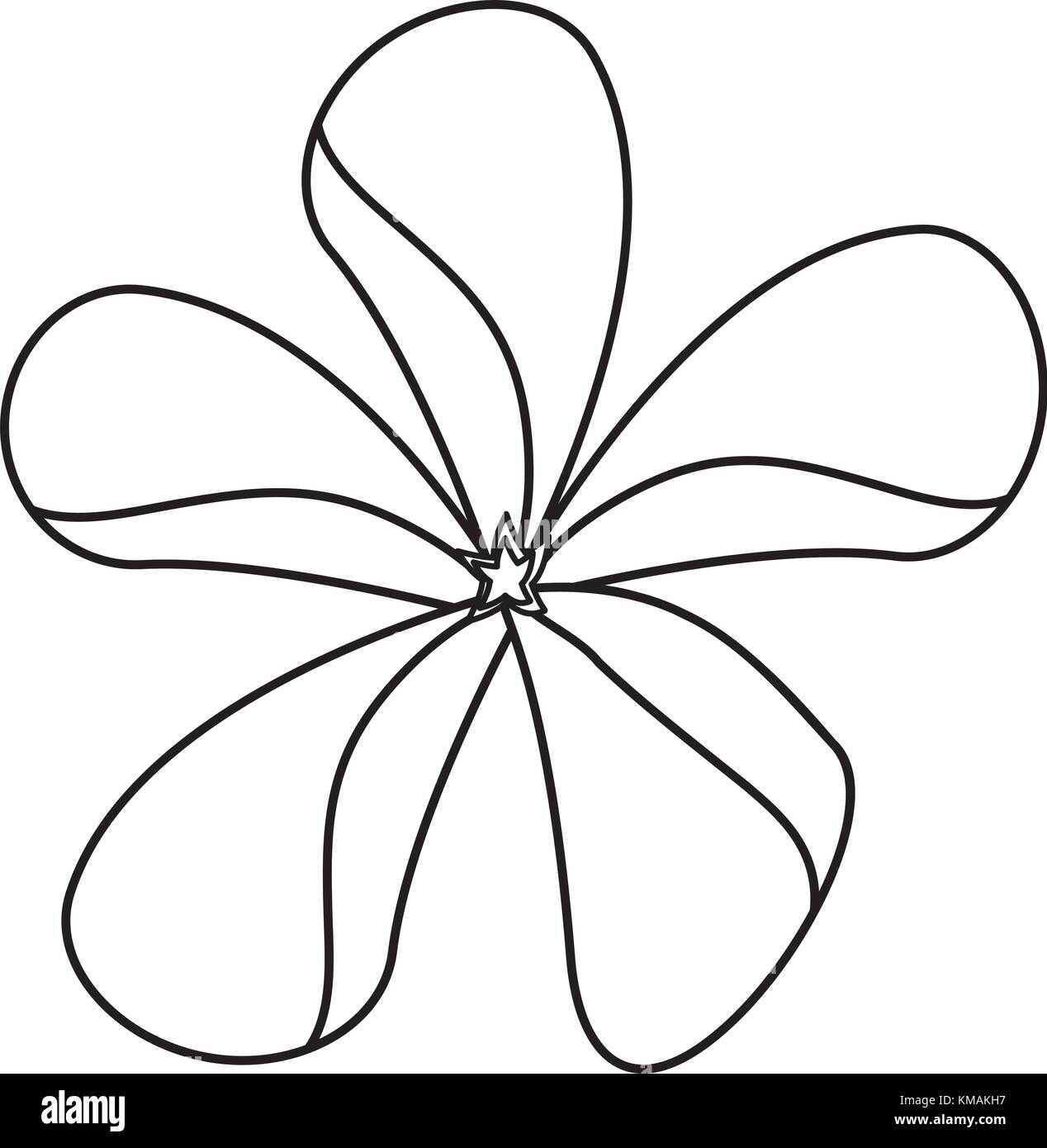 beautiful tropical flowers design Stock Vector Image & Art - Alamy