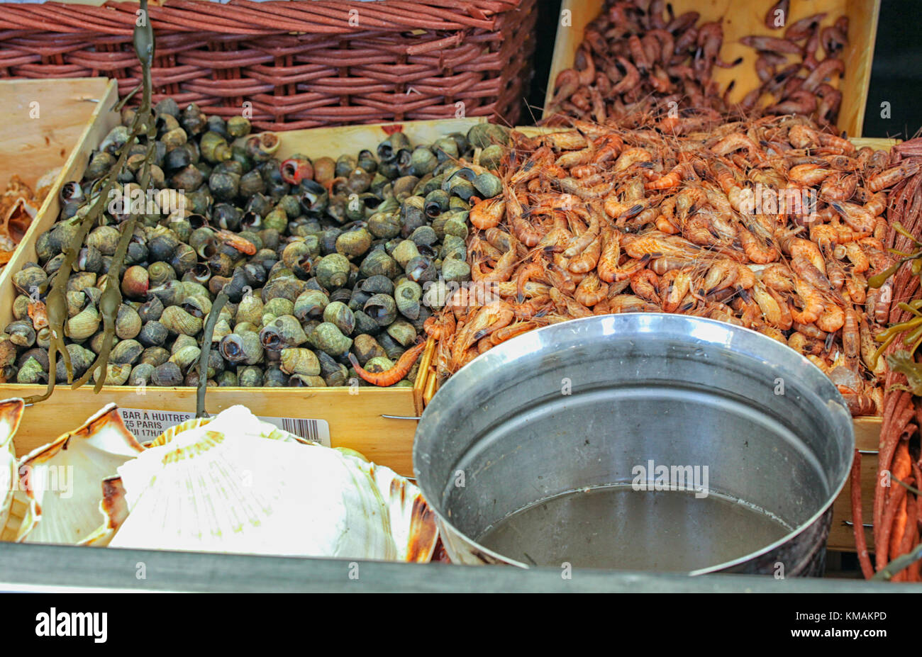 Shell fish on display Stock Photo - Alamy