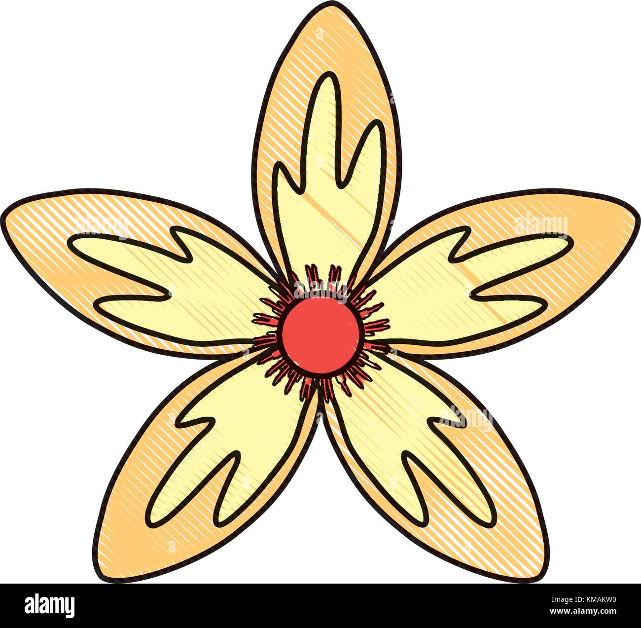 beautiful tropical flowers design Stock Vector Image & Art - Alamy