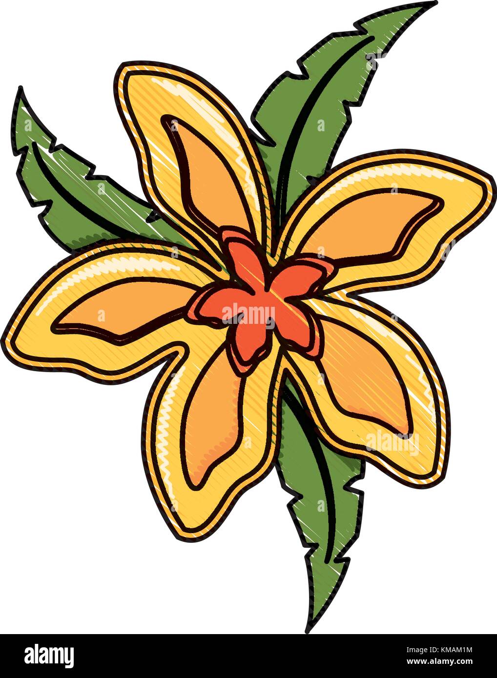beautiful tropical flowers design Stock Vector Image & Art - Alamy