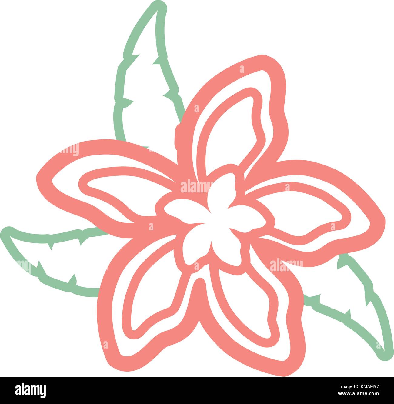 beautiful tropical flowers design Stock Vector Image & Art - Alamy