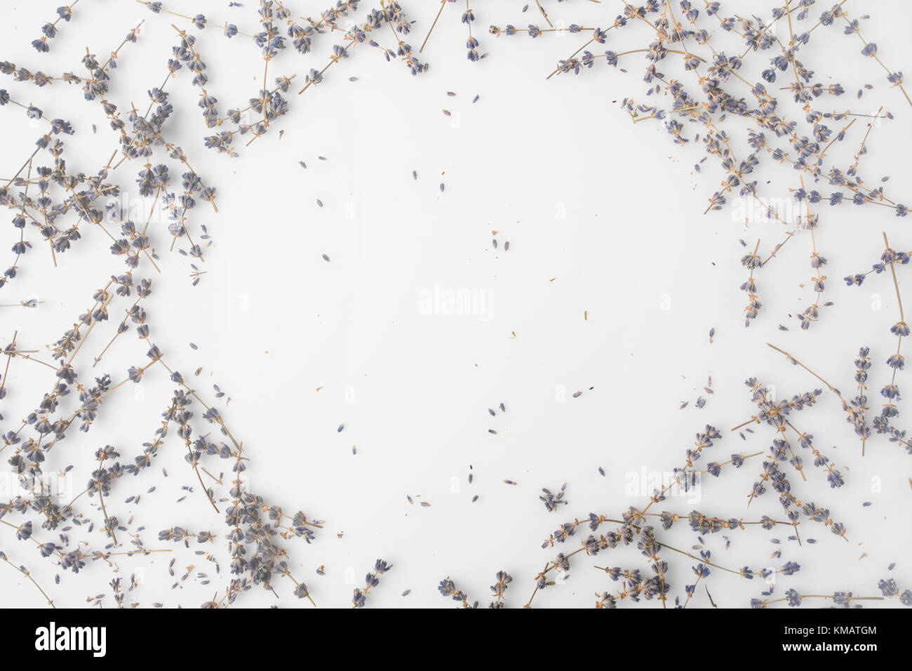 round frame of lavender flowers Stock Photo - Alamy