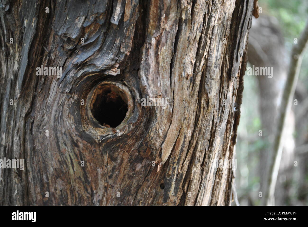 Unique knot hi-res stock photography and images - Alamy