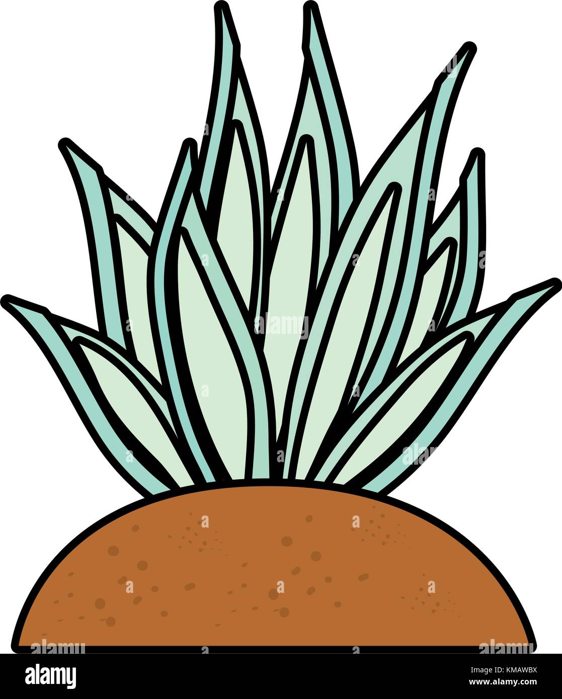 succulent plant icon Stock Vector Image & Art - Alamy