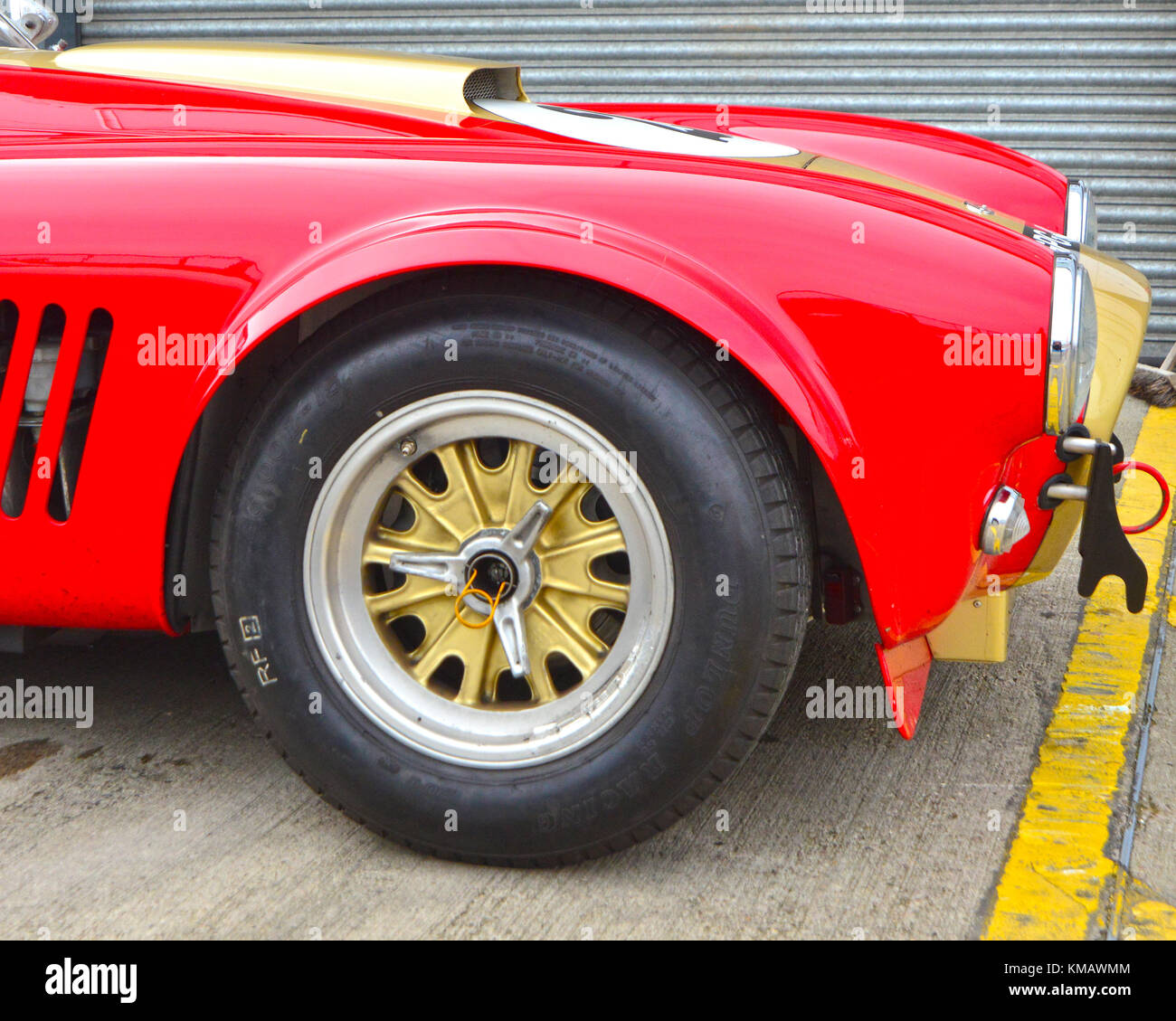 Oliver Bryant, Graham Bryant, AC Cobra 289, winners, GT & Sports Car ...