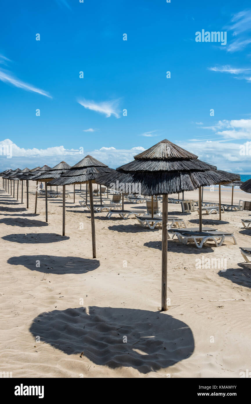 Empty beach with sun loungers and parosols Stock Photo - Alamy