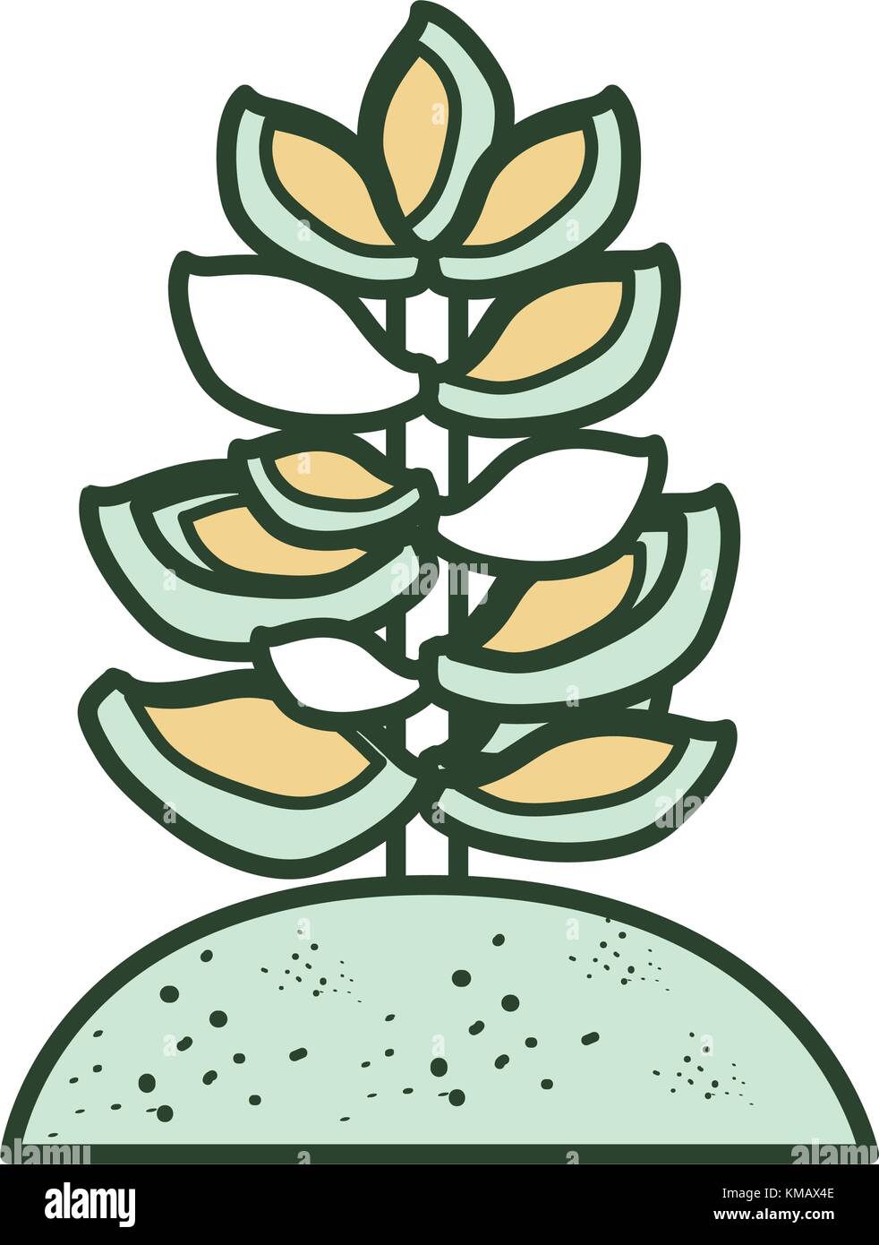 succulent plant icon Stock Vector Image & Art - Alamy