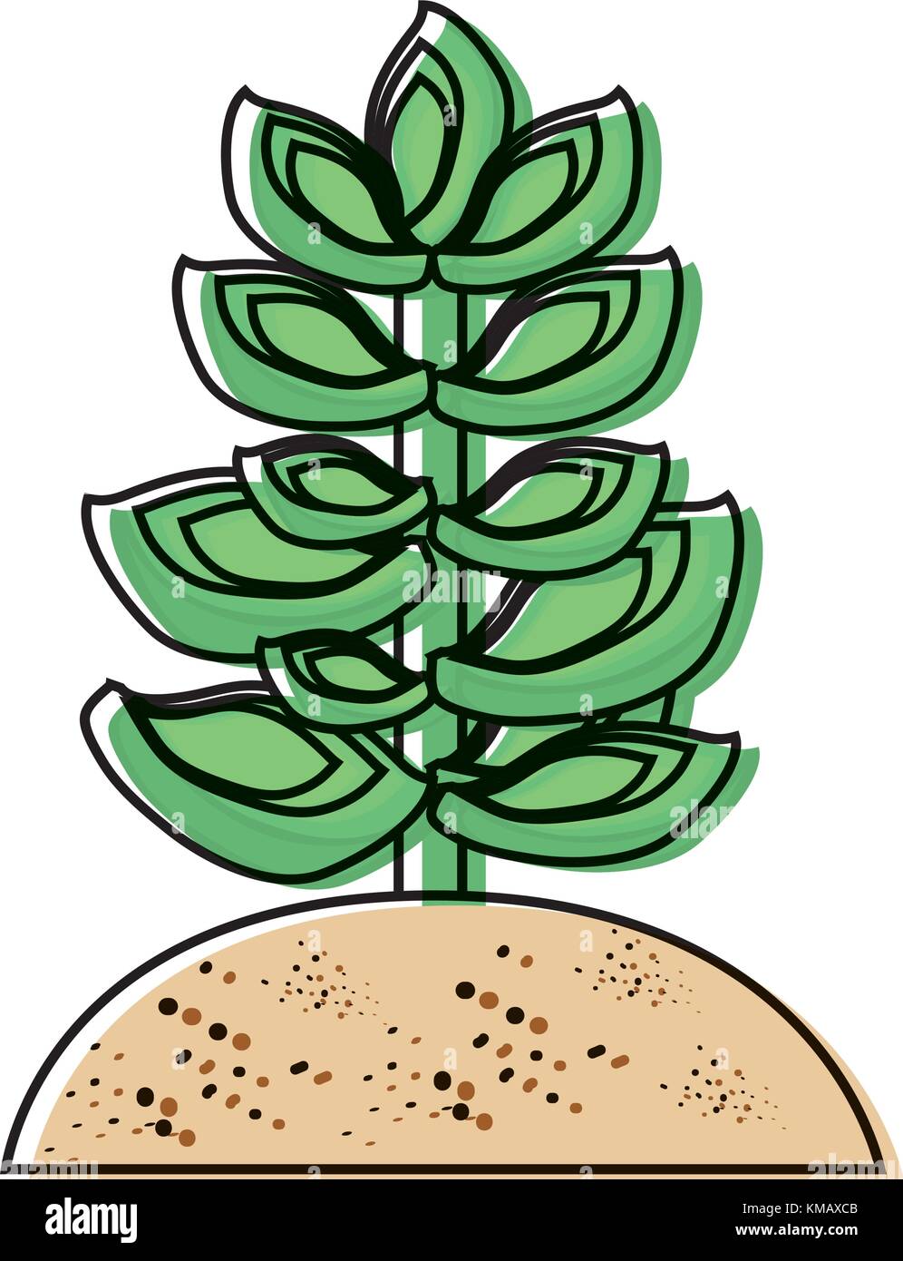 succulent plant icon Stock Vector Image & Art - Alamy