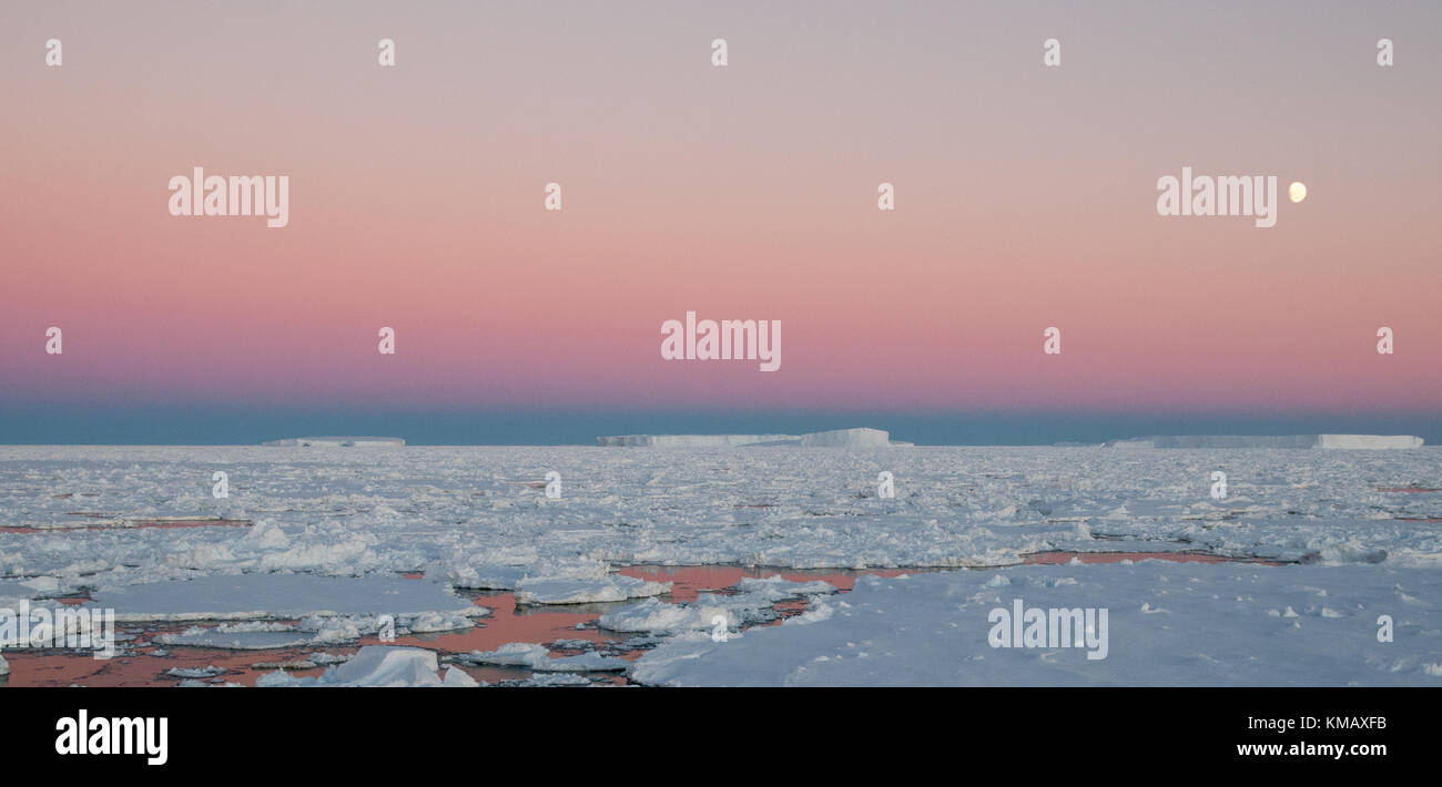 Moon rising over icebergs and sea-ice at sunset, Antarctica Stock Photo ...