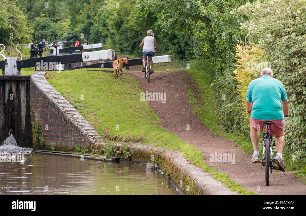Middle aged couple cycling in the Worcester and Birmingham canal near ...