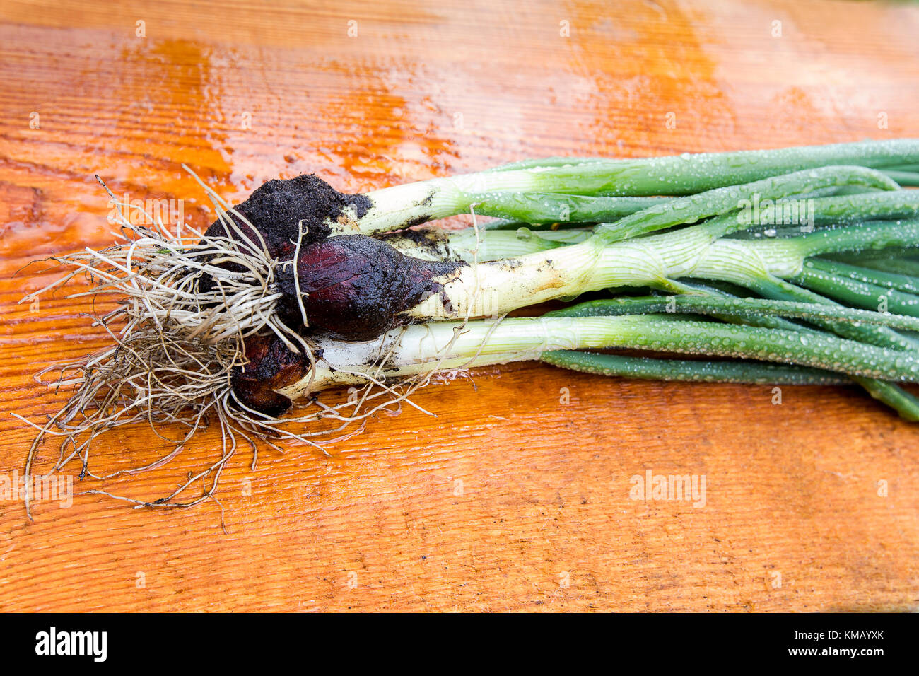 Wet green onions hi-res stock photography and images - Alamy