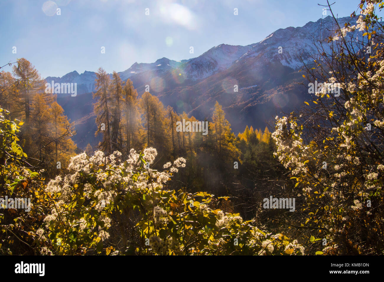 autumn landscape in the Italian Alps Stock Photo - Alamy
