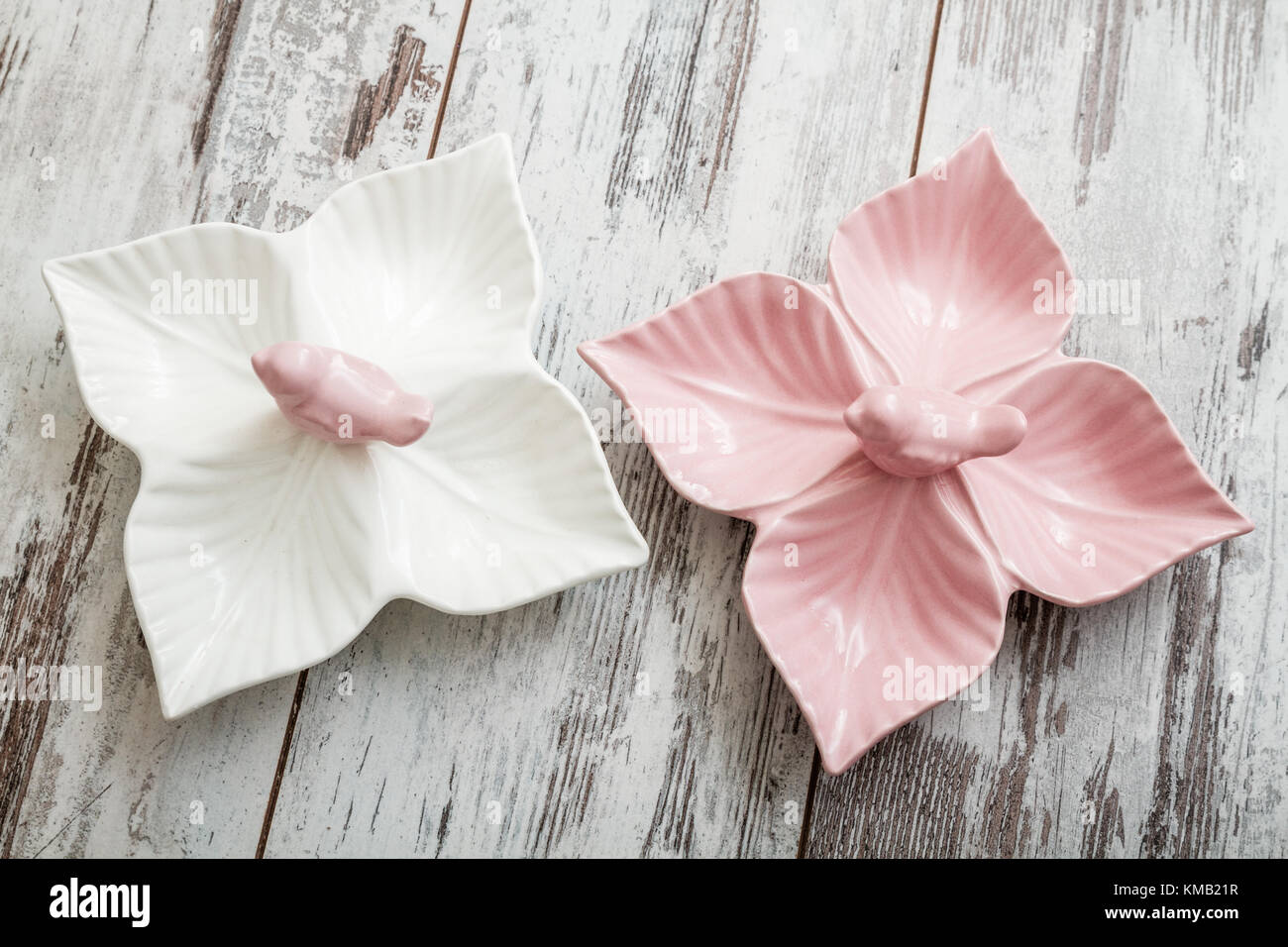 Empty ceramic snack plates with bird design on white wooden background ...
