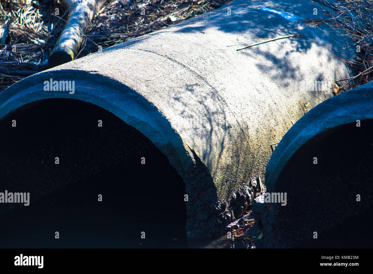 LIFE IN VIRGINIA Stock Photo - Alamy