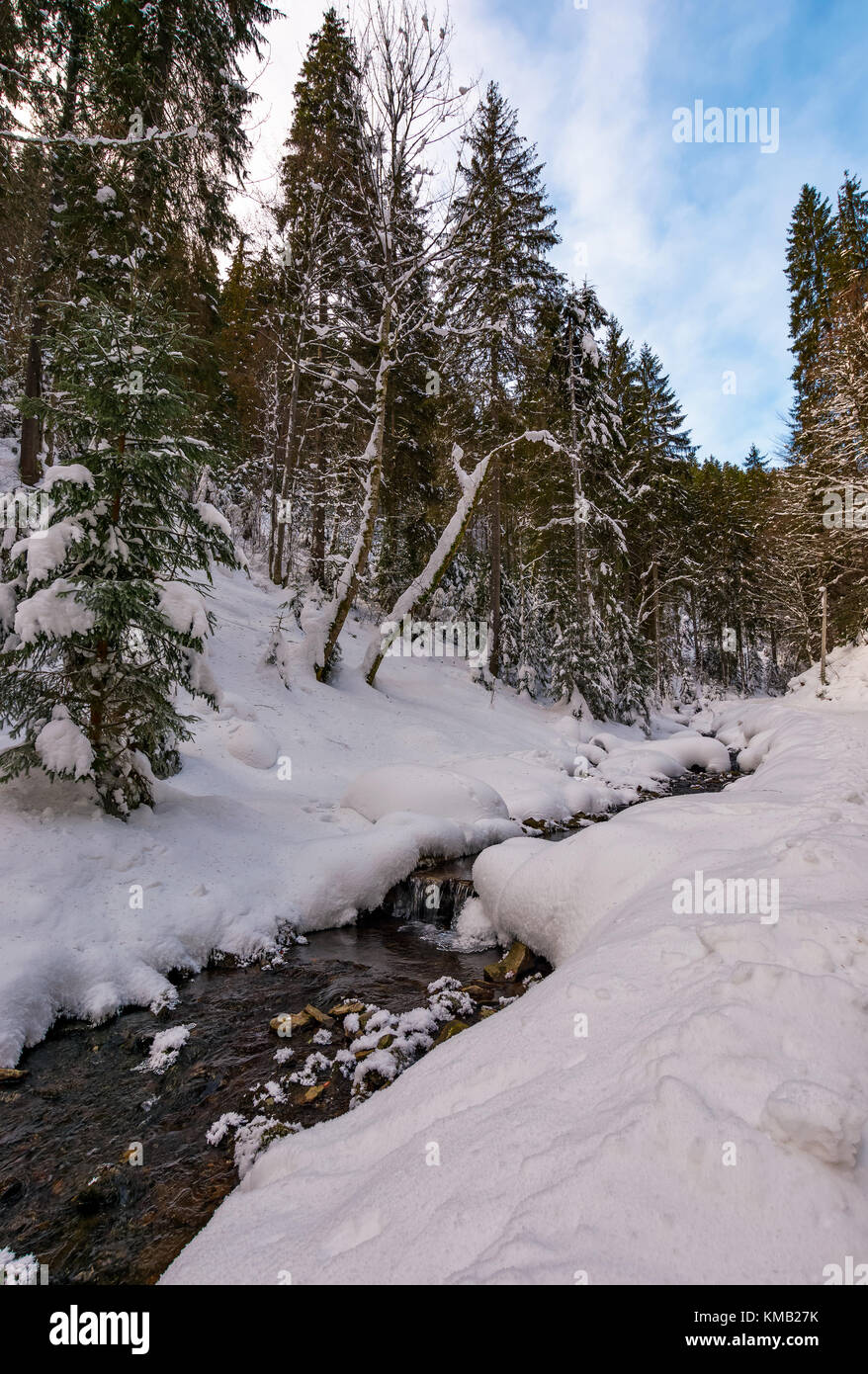 brook with cascades in winter forest. lovely winter nature scenery ...