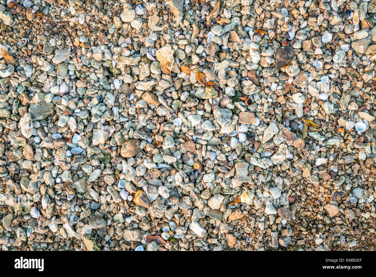 natural background and texture of a river shore: gravel, rocks and ...
