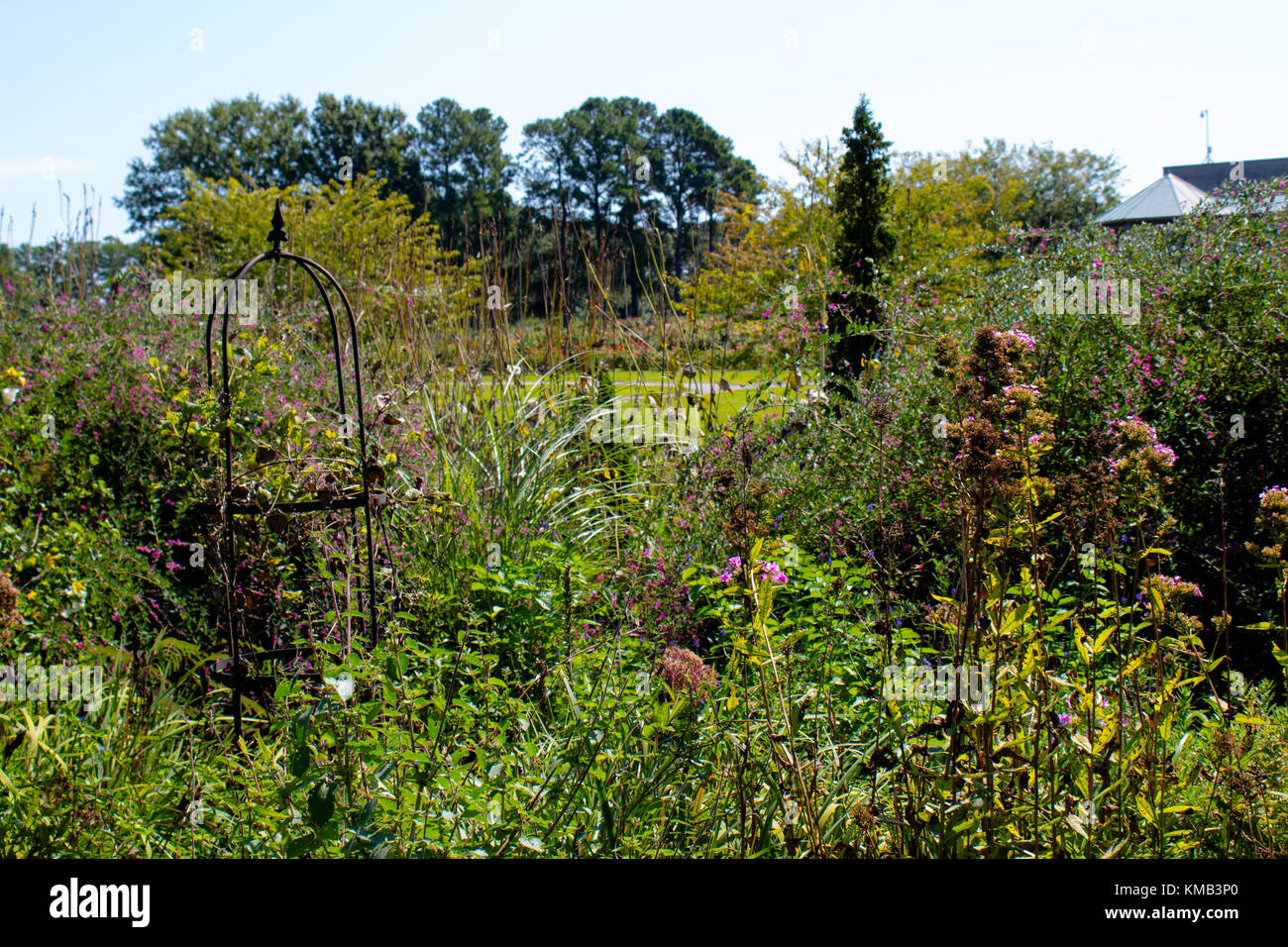 LIFE IN VIRGINIA Stock Photo - Alamy