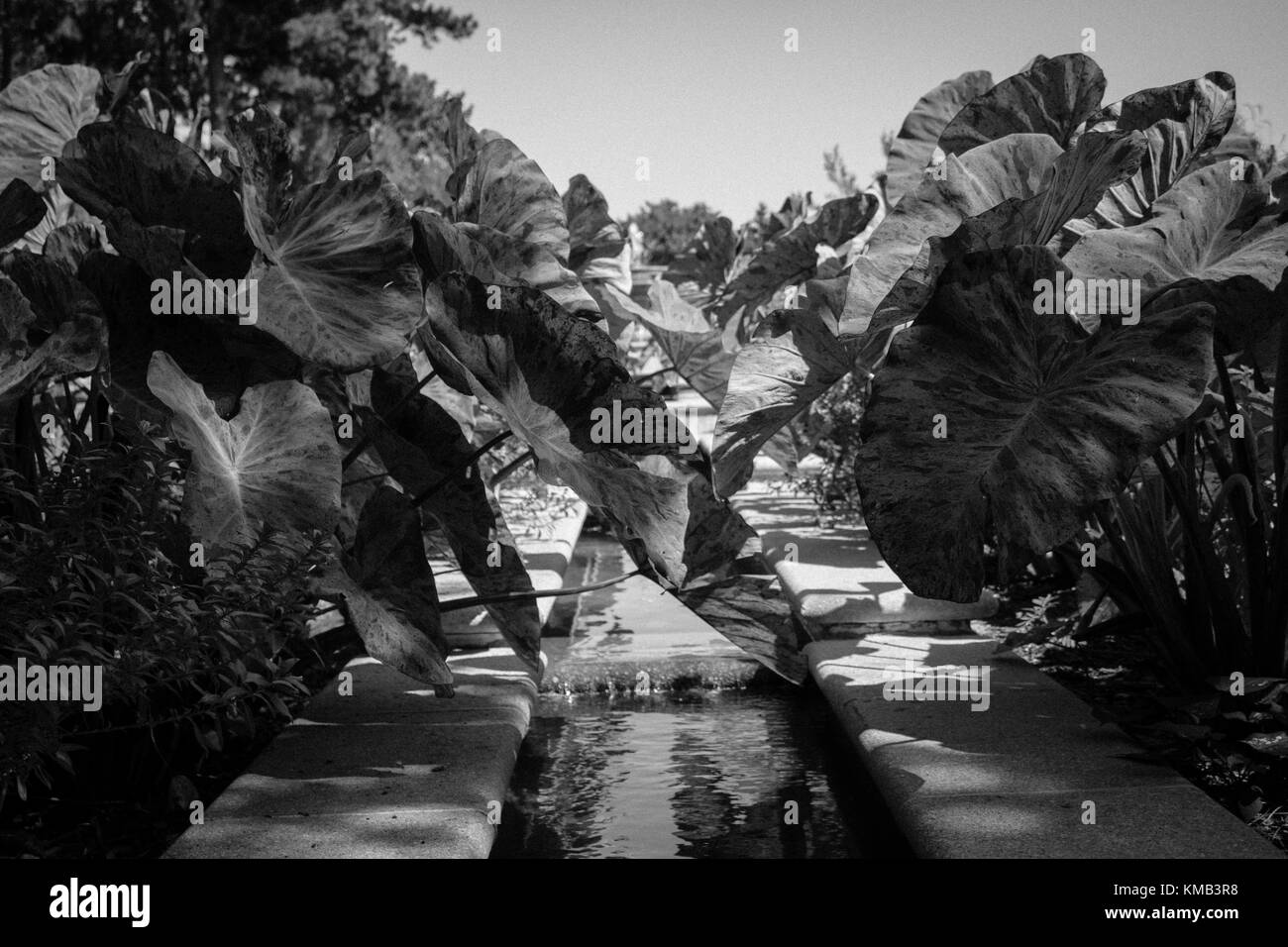 LIFE IN VIRGINIA Stock Photo - Alamy