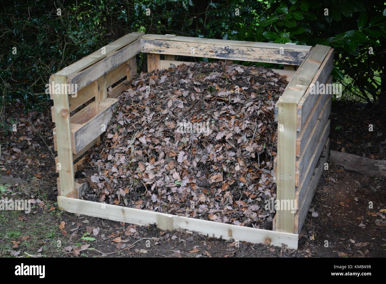 Garden compost heap made out of wooden pallets and featheredge boards ...