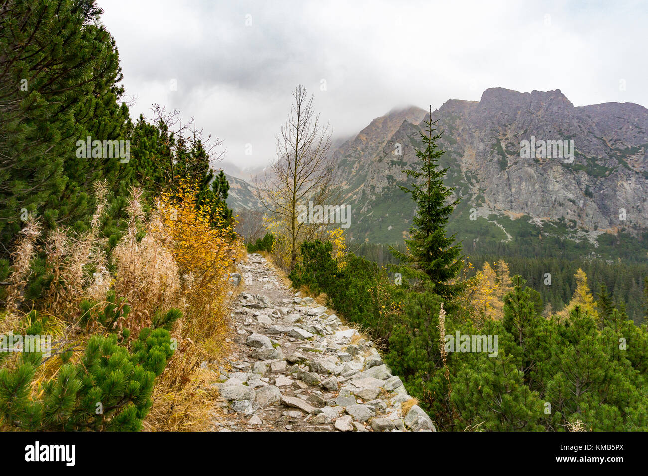 High Tatra mountains in Slovakia in autumn Stock Photo - Alamy