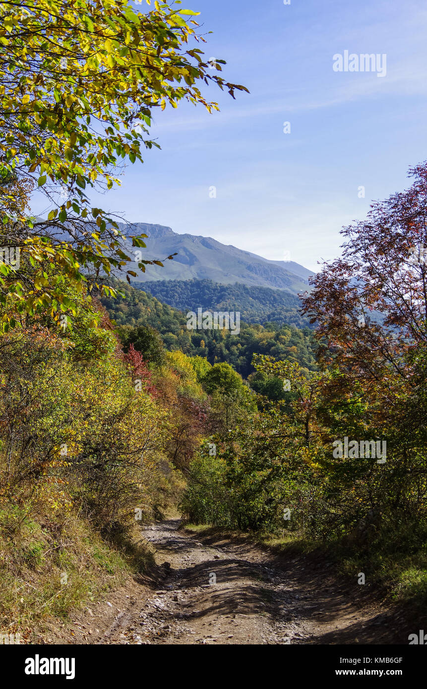 Dilijan national park hi-res stock photography and images - Alamy